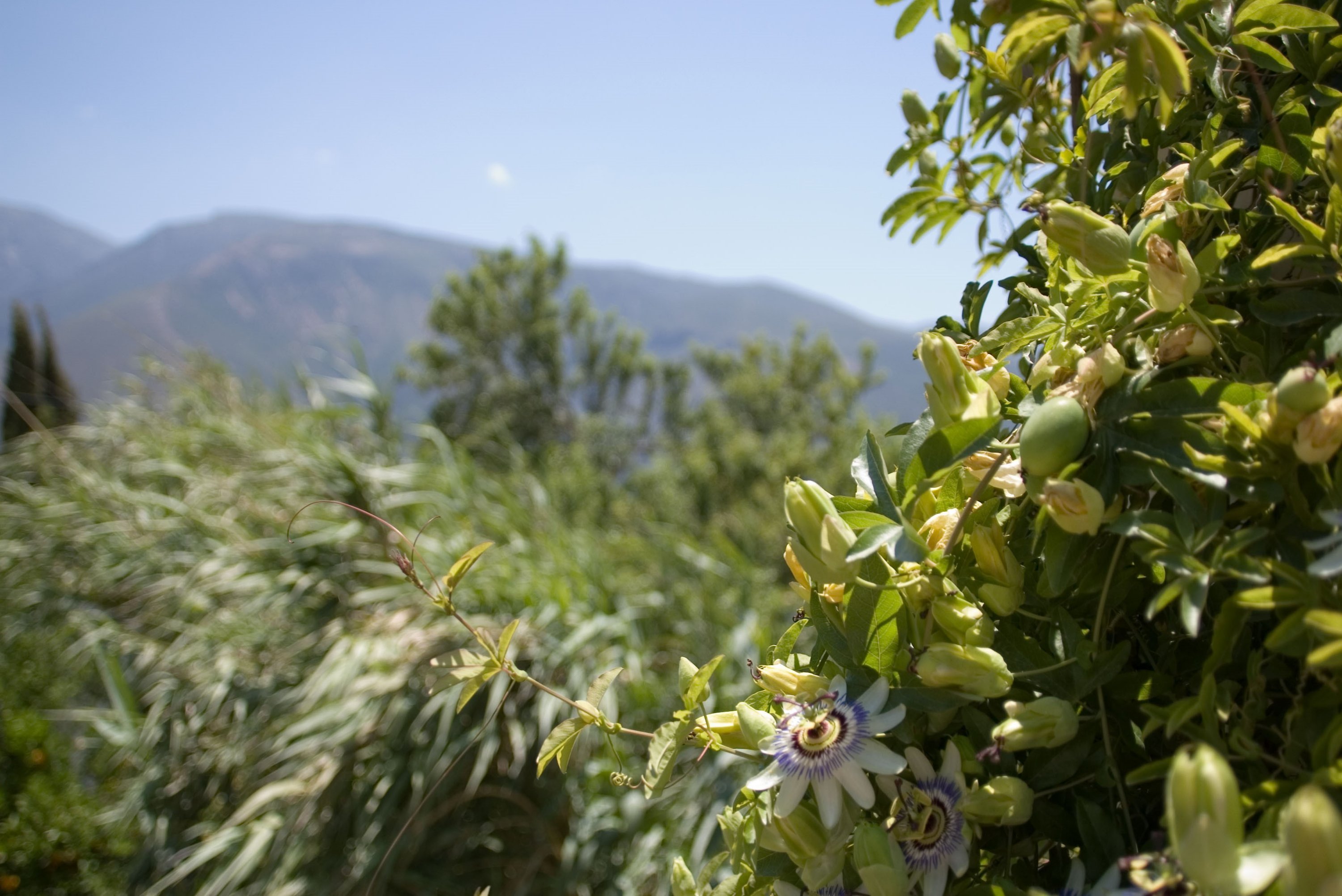 Colours of Granada – Natalie Bramwell-Booth